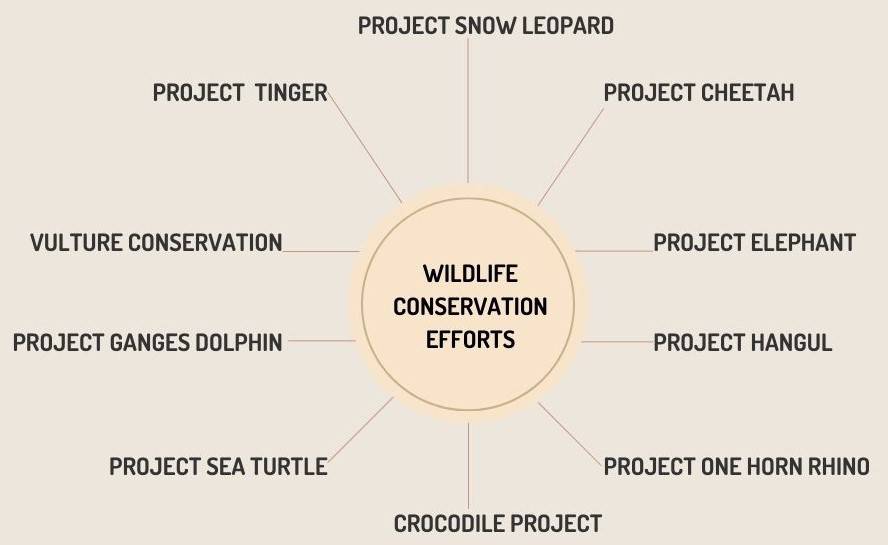 Wildlife Conservation Efforts in India - Wildlife & Ecosystem Explorations