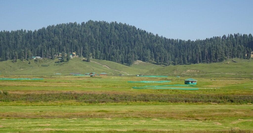 The Ultimate Guide: Top Tourist Places in Gulmarg, Kashmir - Wildlife ...
