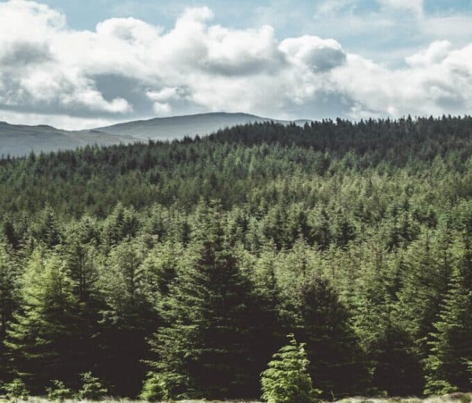 Home - Wildlife & Ecosystem Explorations