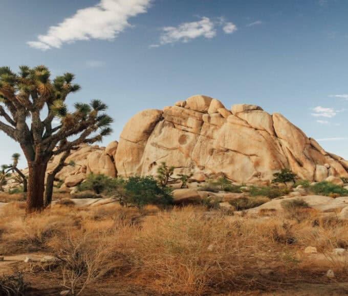 Home - Wildlife & Ecosystem Explorations